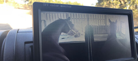 Transporte de caballos - TransHorseSpain